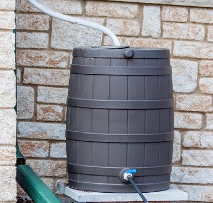 Rainwater Collection for Landscape Maintenance – Stalder Creative Studios